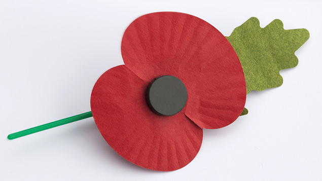 The Poppy and The Law